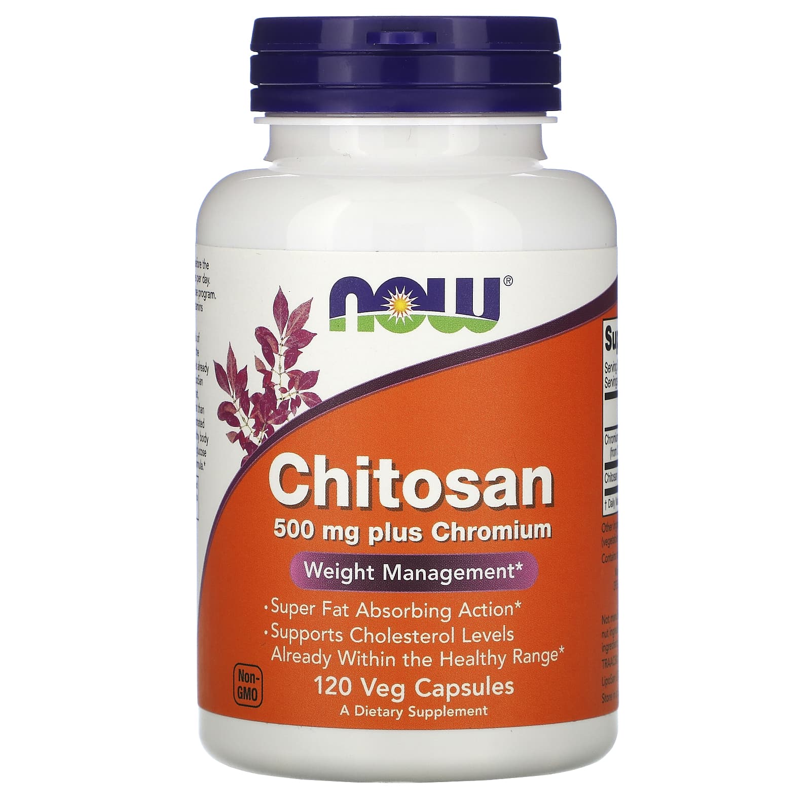Now Foods, CHITOSAN PLUS 500mg NEW, 120 Capsules - 733739020253 ...