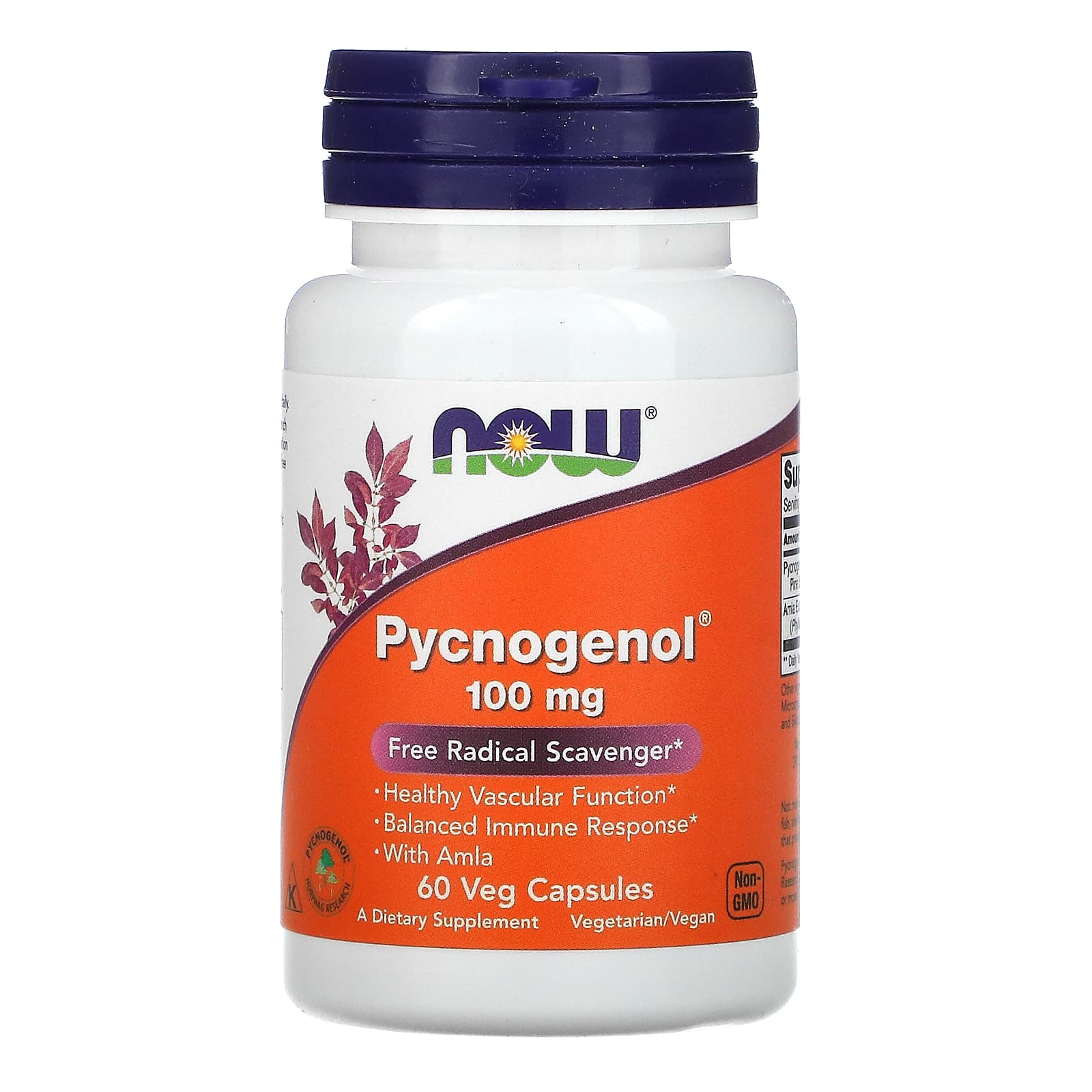 Now Foods, Pycnogenol 100mg, 60 Vegetarian Capsules - 733739032676 ...