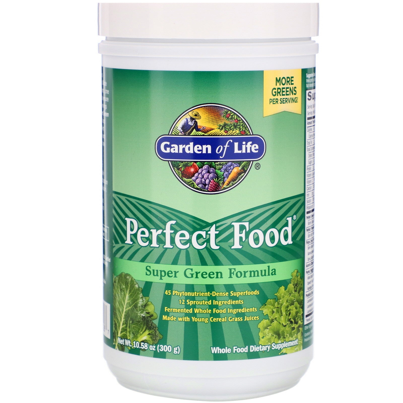 Garden of Life, Perfect Food - Green label Powder, 10.58 oz | HiLife ...